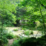 Greer Spring Trail, Missouri - 338 Reviews, Map | AllTrails