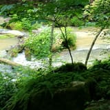 Greer Spring Trail, Missouri - 338 Reviews, Map | AllTrails