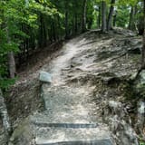 Fall Mountain Trail, North Carolina - 1,286 Reviews, Map | AllTrails