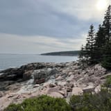 Ocean Path Trail, Maine - 3,554 Reviews, Map | AllTrails