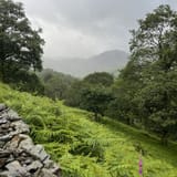 Buttermere Walk, Cumbria, England - 22 Reviews, Map | AllTrails