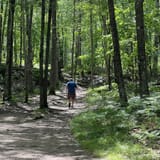 Piers Gorge, Michigan - 393 Reviews, Map | AllTrails