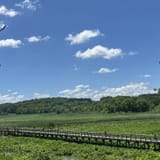 Neabsco Creek Boardwalk, Virginia - 969 Reviews, Map | AllTrails