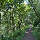 Chambers Creek Trail, Washington - 265 Reviews, Map | AllTrails