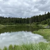 Beaver Ponds Loop Trail, Montana - 1,227 Reviews, Map | AllTrails