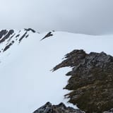 Mount Roberts Trail, Alaska - 456 Reviews, Map | AllTrails