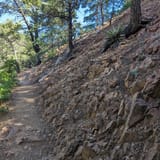 Chamisa Trail, New Mexico - 1,503 Reviews, Map | AllTrails
