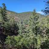 Chamisa Trail, New Mexico - 1,503 Reviews, Map | AllTrails