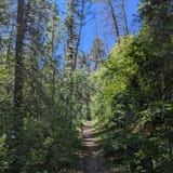 Chamisa Trail, New Mexico - 1,503 Reviews, Map | AllTrails