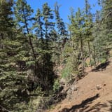 Chamisa Trail, New Mexico - 1,503 Reviews, Map | AllTrails