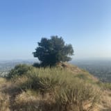 Colby Trail, California - 812 Reviews, Map | AllTrails