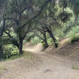 Colby Trail, California - 812 Reviews, Map | AllTrails