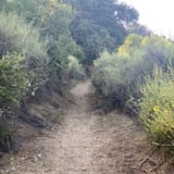 Colby Trail, California - 812 Reviews, Map | AllTrails