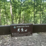 Hemlock Loop Trail, Ohio - 1,202 Reviews, Map | AllTrails