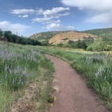 Carpenter Peak Trail, Colorado - 3,636 Reviews, Map | AllTrails