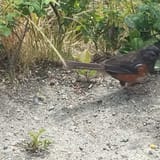 Washington Park Loop Road, Washington - 1,886 Reviews, Map | AllTrails