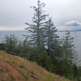 Washington Park Loop Road, Washington - 1,886 Reviews, Map | AllTrails
