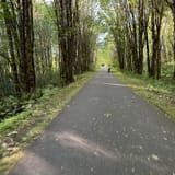 Chehalis Western Trail, Washington - 546 Reviews, Map | AllTrails