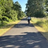 Chehalis Western Trail, Washington - 546 Reviews, Map | AllTrails