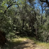 Dragoon Gulch Trail, California - 953 Reviews, Map | AllTrails