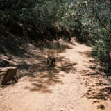 Dragoon Gulch Trail, California - 953 Reviews, Map | AllTrails