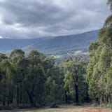 Taggerty River Lookout Loop, Victoria, Australia - 67 Reviews, Map ...