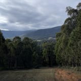 Taggerty River Lookout Loop, Victoria, Australia - 67 Reviews, Map ...