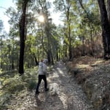 Taggerty River Lookout Loop, Victoria, Australia - 67 Reviews, Map ...