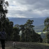 Taggerty River Lookout Loop, Victoria, Australia - 67 Reviews, Map ...