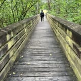 BPA Trail, Washington - 449 Reviews, Map | AllTrails