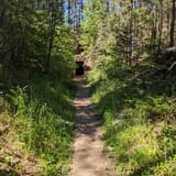 Spring Creek and Flume Trail Loop, South Dakota - 936 Reviews, Map ...