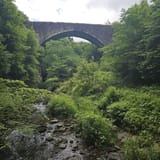 Beamish Park and Causey Arch Circular, County Durham, England - 495 ...