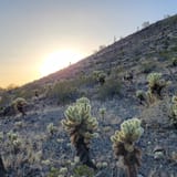 Dixie Summit Trail, Arizona - 1,533 Reviews, Map | AllTrails