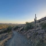 Dixie Summit Trail, Arizona - 1,534 Reviews, Map | AllTrails