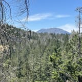 Ritchey Canyon Trail and Coyote Peak, California - 1,083 Reviews, Map ...