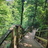 Raven Rock Loop Trail, North Carolina - 2,635 Reviews, Map | AllTrails