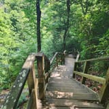Raven Rock Loop Trail, North Carolina - 2,635 Reviews, Map | AllTrails
