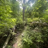 Russell Cave Trail, Alabama - 131 Reviews, Map | AllTrails