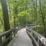 Russell Cave Trail, Alabama - 130 Reviews, Map | AllTrails