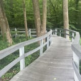 Russell Cave Trail, Alabama - 131 Reviews, Map | AllTrails