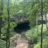 Russell Cave Trail, Alabama - 131 Reviews, Map | AllTrails