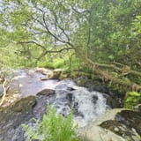 Pistyll Rhaeadr, Powys, Wales - 217 Reviews, Map | AllTrails