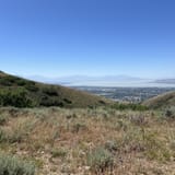 Suncrest Trail, Utah - 1,598 Reviews, Map | AllTrails
