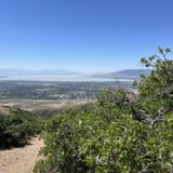 Suncrest Trail, Utah - 1,598 Reviews, Map | AllTrails