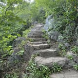Sharp Top Trail, Virginia - 3,000 Reviews, Map | AllTrails