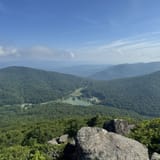 Sharp Top Trail, Virginia - 3,000 Reviews, Map | AllTrails