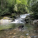 Daniel Ridge Loop, North Carolina - 2,034 Reviews, Map | AllTrails