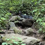 Daniel Ridge Loop, North Carolina - 2,034 Reviews, Map | AllTrails