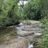 Daniel Ridge Loop, North Carolina - 2,034 Reviews, Map | AllTrails