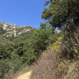 Inspiration Point, California - 3,743 Reviews, Map | AllTrails